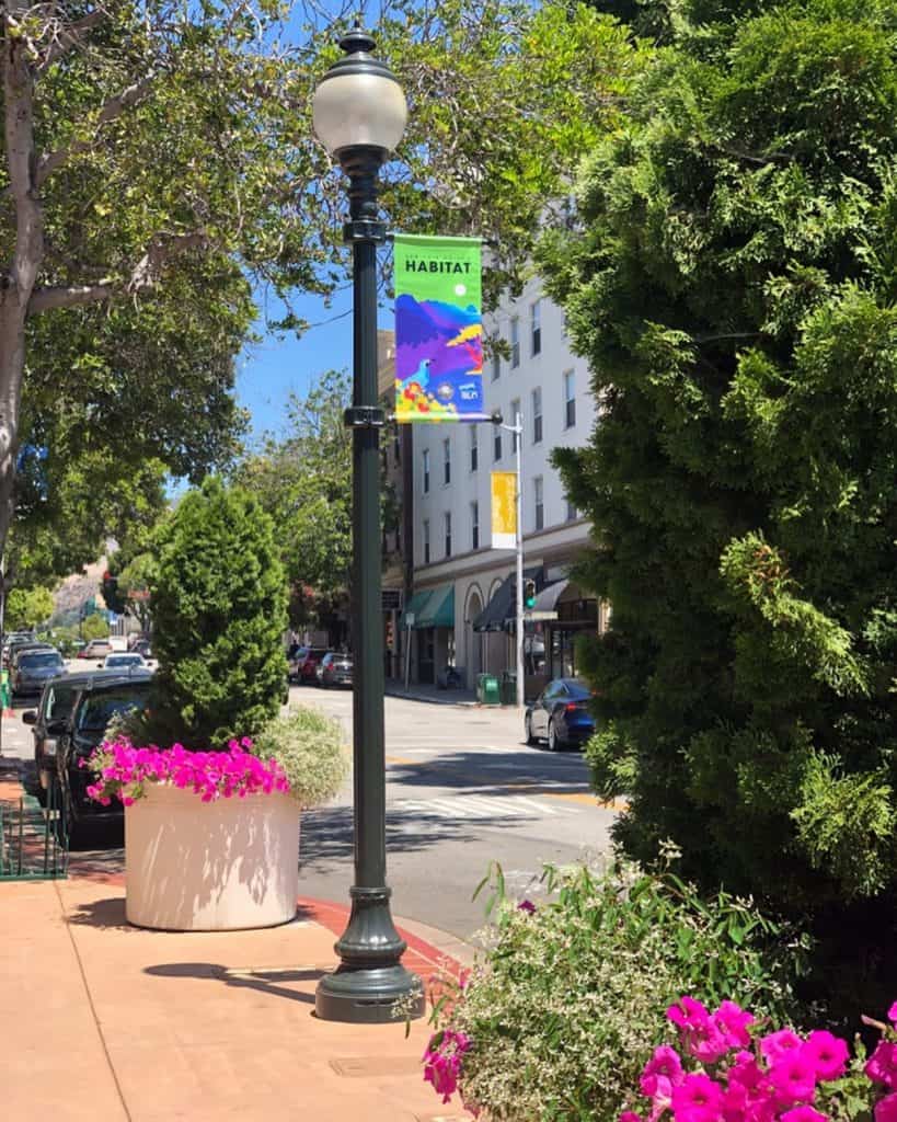 New Downtown Banners Display Iconic San Luis Obispo Culture
