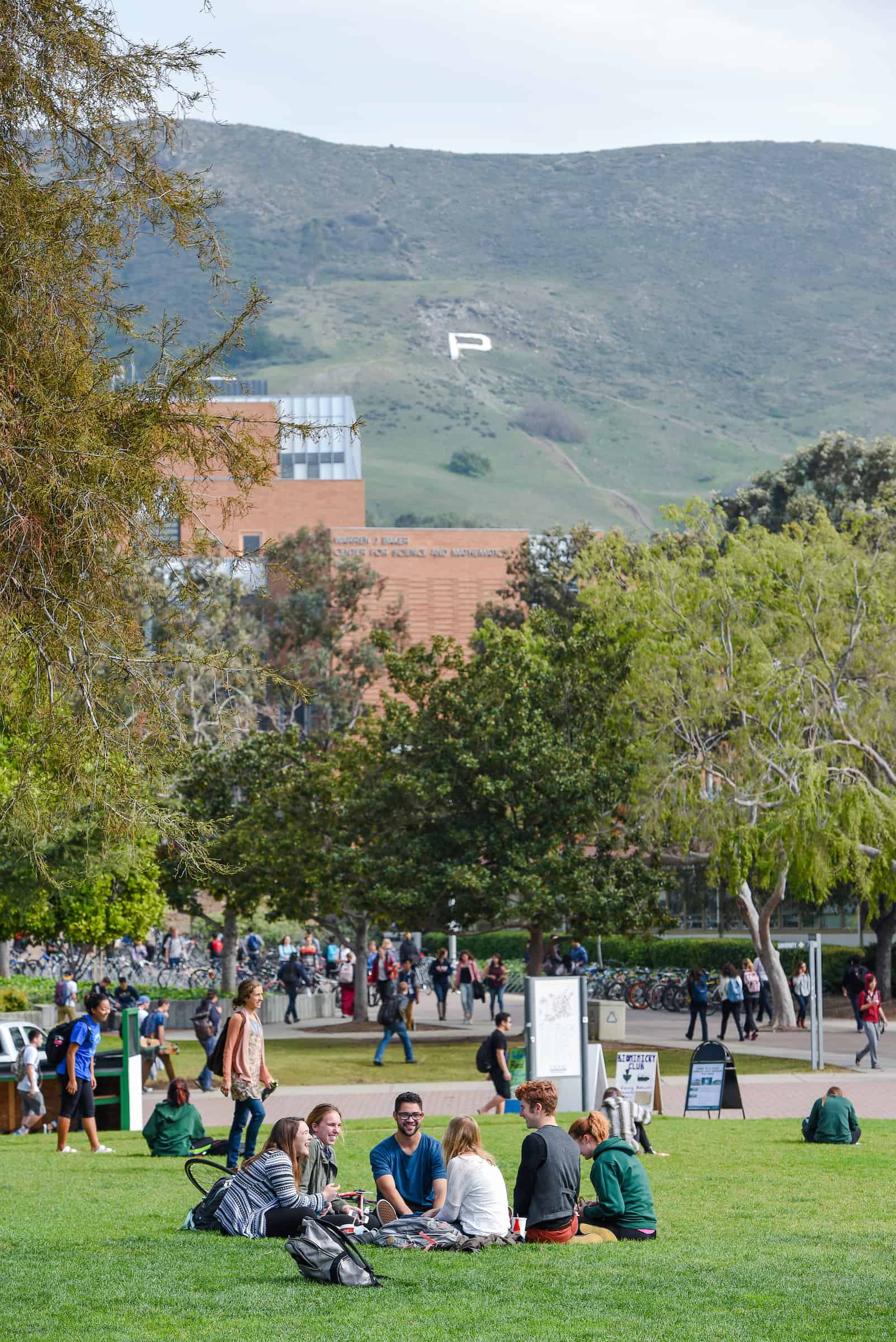 Cal Poly Named California’s Best Public-Master’s University and Among ...