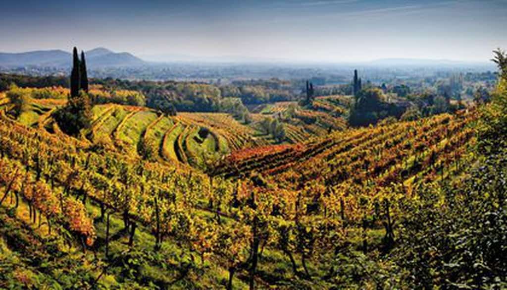 Wines of Friuli with Alex Corazza at Winesneak | San Luis Obispo ...