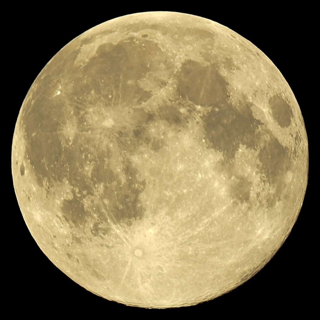 Jan - Full Moon_slo botanical garden | San Luis Obispo Chamber of Commerce