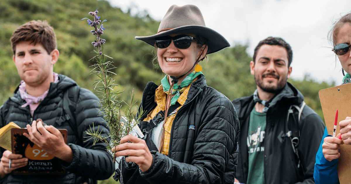 Wildflower and Botanical Adventure with botany professors, Matt Ritter ...