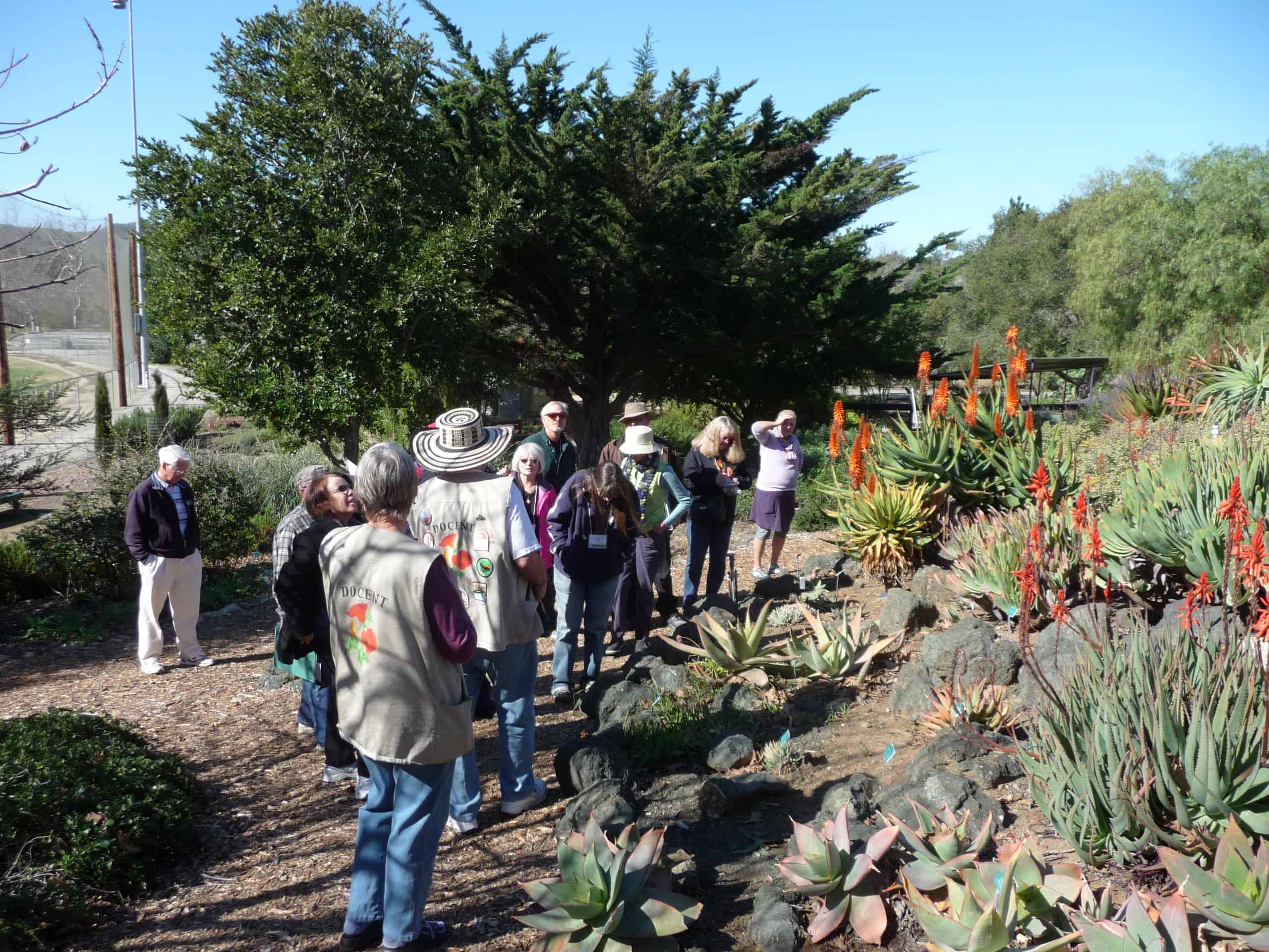 Docent Tour 2 - slo botanical garden | San Luis Obispo Chamber of Commerce