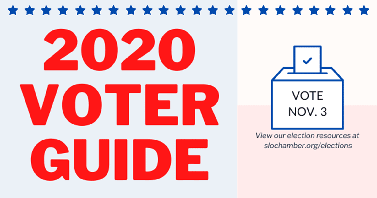2020 Voter Guide